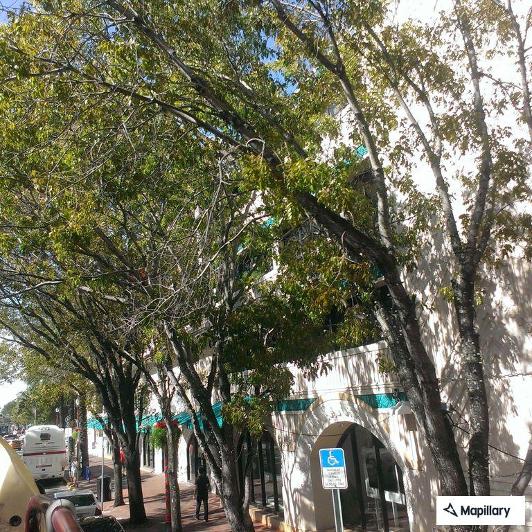 Fire crews respond to possible alarm near Grand Ave, Miami FL | CrimeRadar