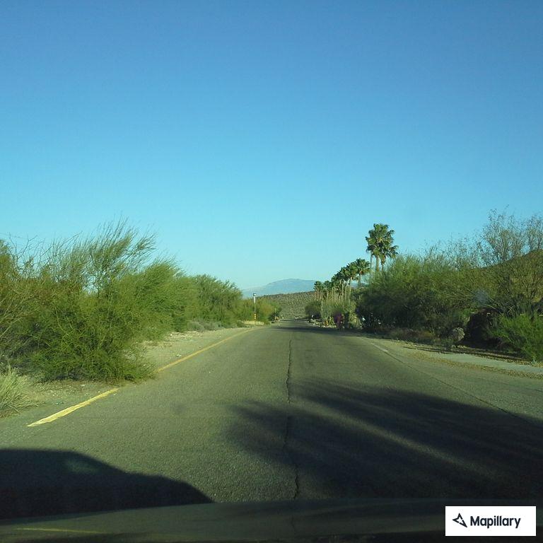 Fallen saguaro cactus blocks bike lane on Broadway, Tucson AZ | CrimeRadar