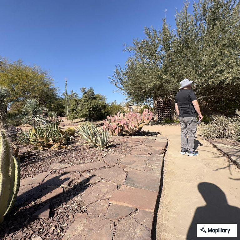Fall injury at public location in Phoenix, Phoenix AZ | CrimeRadar