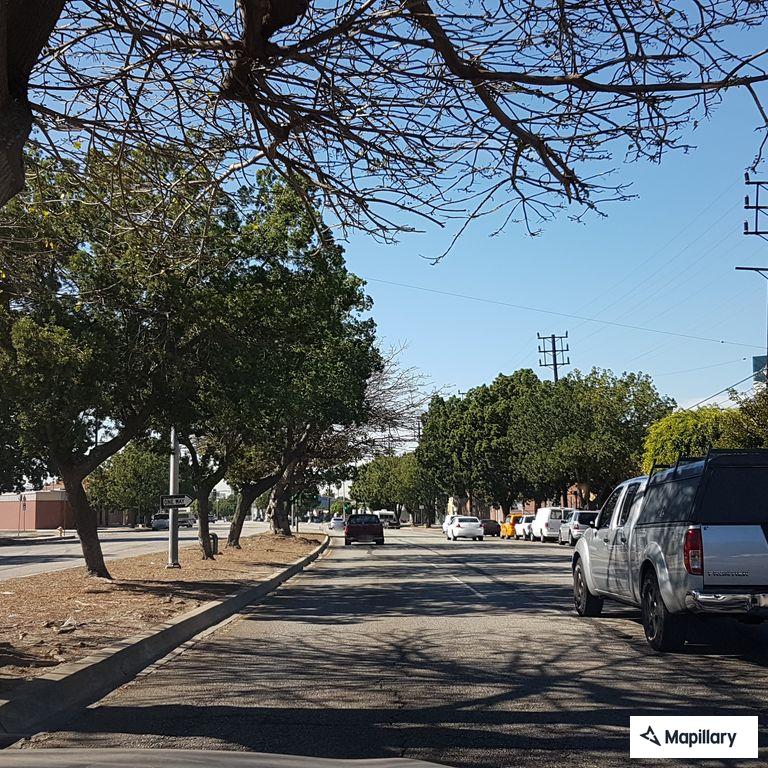 Downed tree blocks lanes at Venice boulevard and Curson avenue, Los ...