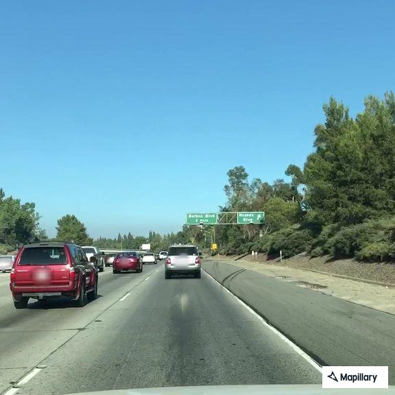 Dog seen walking onto freeway ramp in Los Angeles, Los Angeles CA ...