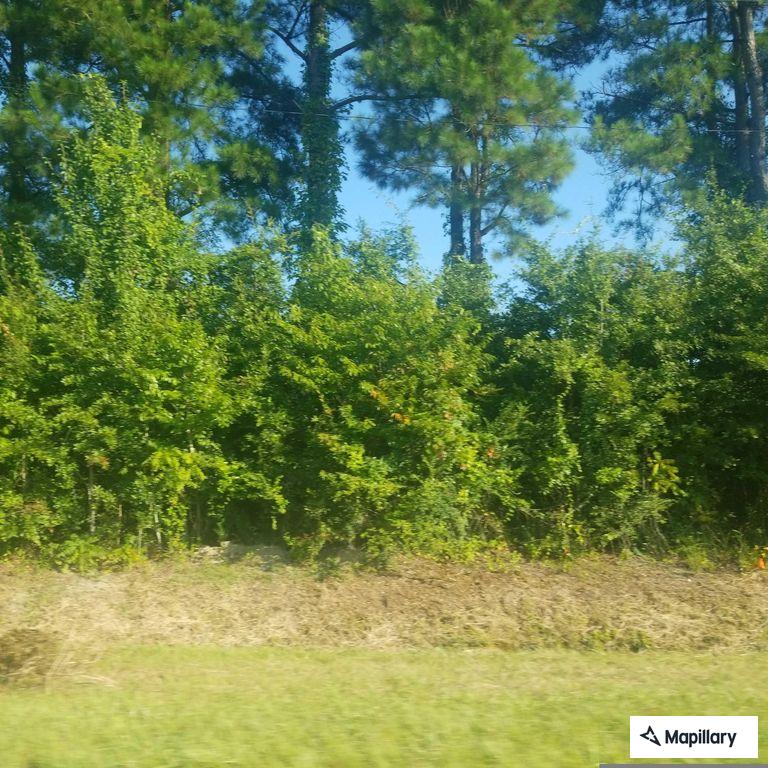 Vehicle with expired plates found on Highway 17 South, Craven County NC ...