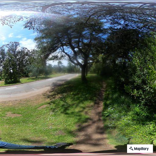 Flooding reported on Crossover Drive in Golden Gate Park, San Francisco ...
