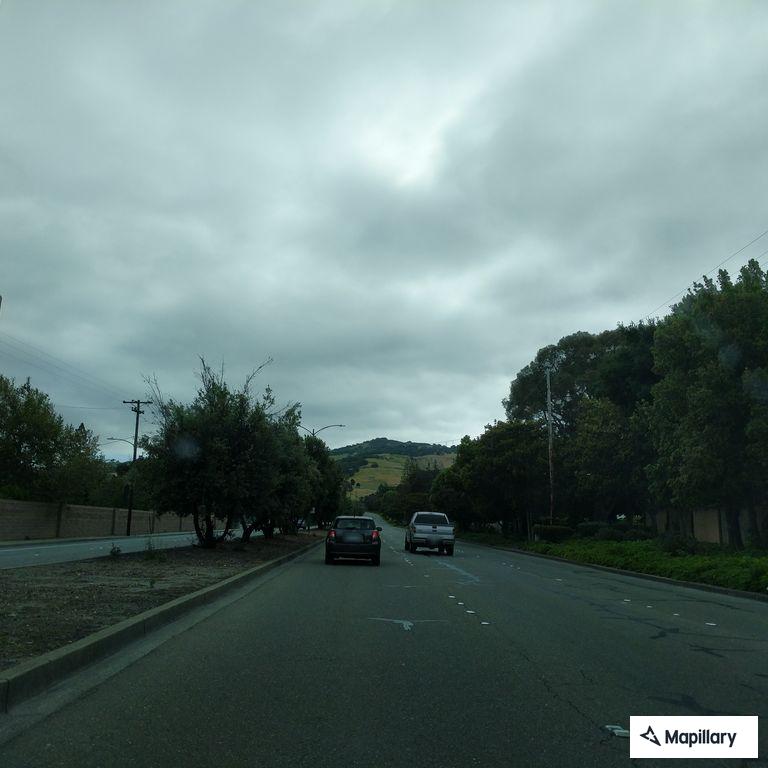 Vehicle strikes goose blocking road near Ygnacio Valley Rd, Contra ...