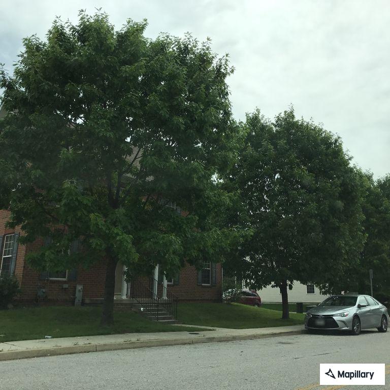 fire crews manage hose lines at ongoing baltimore fire, Baltimore MD ...