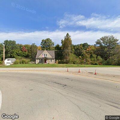 five black bear cubs cause property damage near route 356, Westmoreland ...