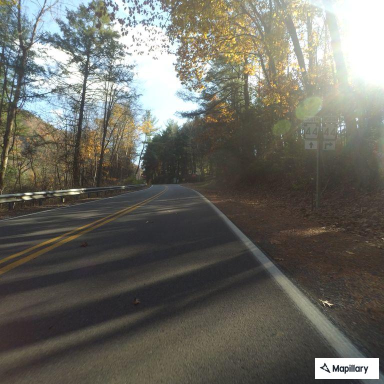 Tree down on north route 44 highway, Lock Haven PA | CrimeRadar