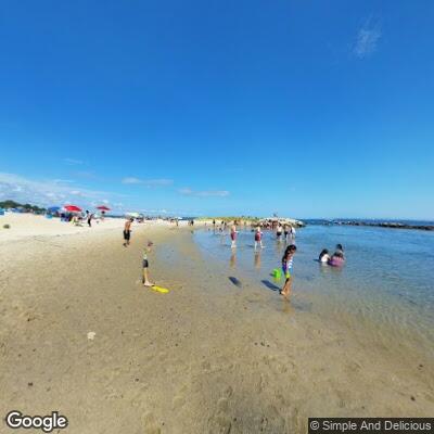 Cat hit by vehicle remains alive near Spark Lane, New London CT ...