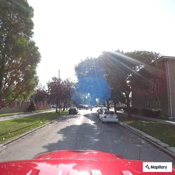 Officers assist with search for lost dogs near Sawyer Ave, Chicago IL ...