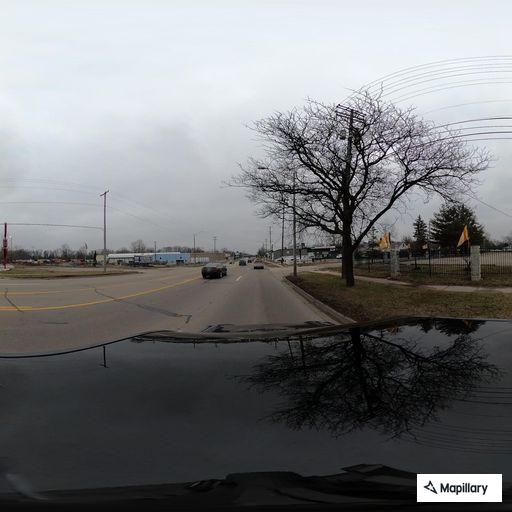 Dog struck by vehicle on King and Dunlap, Lansing MI | CrimeRadar