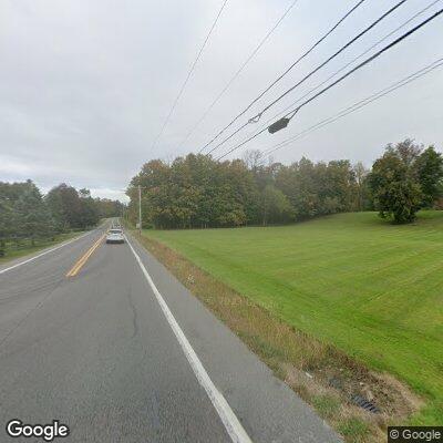 Loose dog reported on van buren and armstrong roads, Onondaga County NY ...