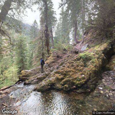 Animal complaint involving a deer in Marion County, Marion County OR ...