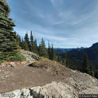 Man found standing near guardrail on road shoulder, Pierce County WA ...