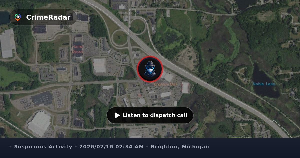 Woman knocking on car windows asking for money, Brighton MI | CrimeRadar