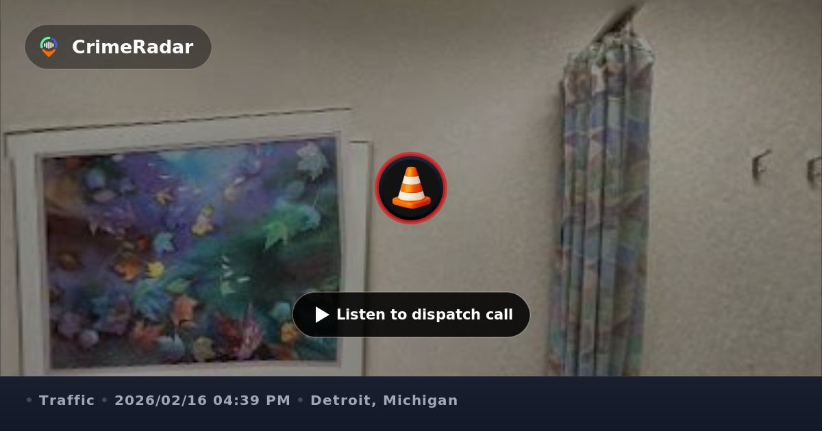 Woman injured in car crash with rear pain, Detroit MI | CrimeRadar