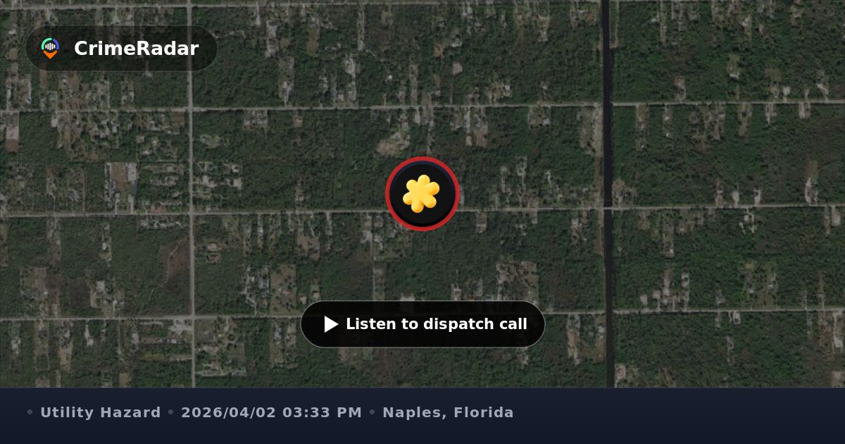 Tree leaning on live power line on 20th Avenue SE, Naples FL | CrimeRadar