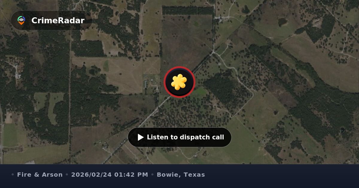 Grass fire reported on Red Bird Lane in Bowie, Bowie TX | CrimeRadar