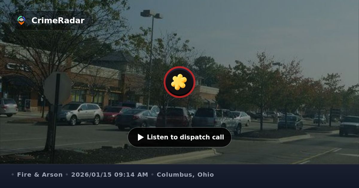 Dumpster fire behind store at Graceland Center, Columbus OH | CrimeRadar