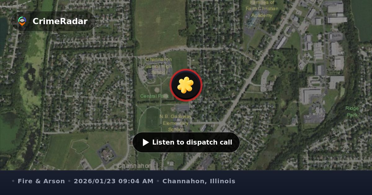 Apparent false fire alarm at strip mall on Eames St, Channahon IL ...