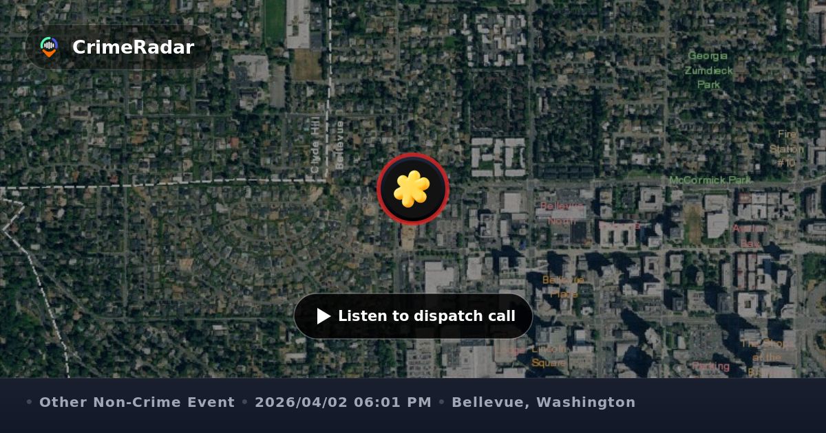 Minor flooding in parking lot on NE 8th Street, Bellevue WA | CrimeRadar