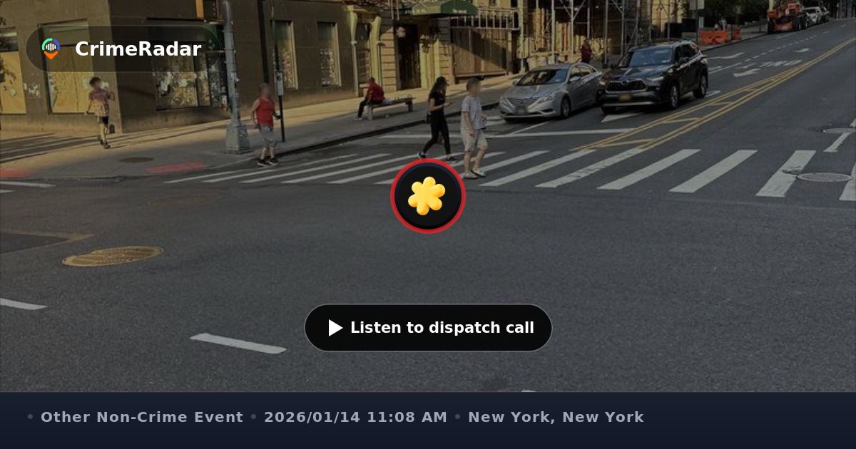 Person stuck on subway platform at 96th Street, New York NY | CrimeRadar