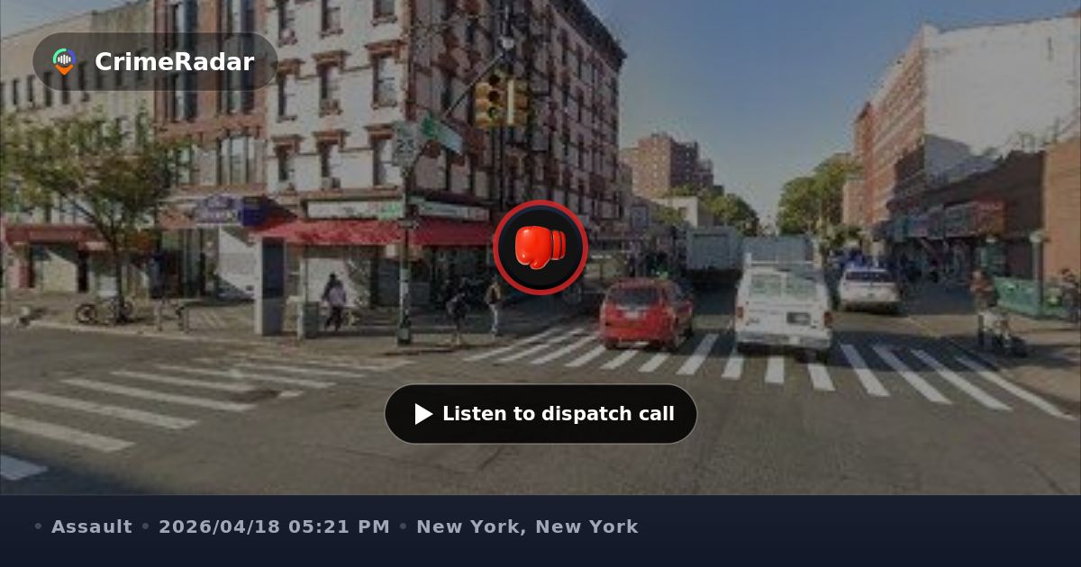 Two men fighting in front of 116th Street subway, New York NY | CrimeRadar