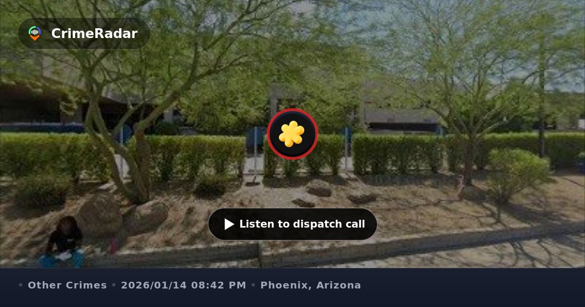 Officers assist hospital patient with video evidence, Phoenix AZ ...