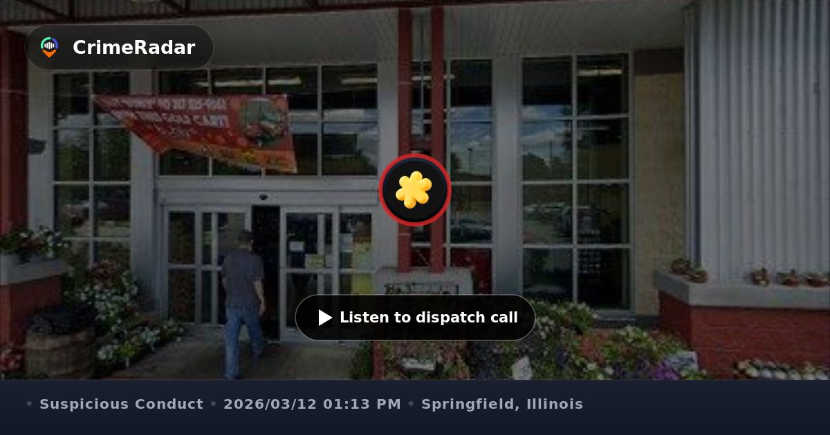Person reported standing in roadway after dispute, Springfield IL ...