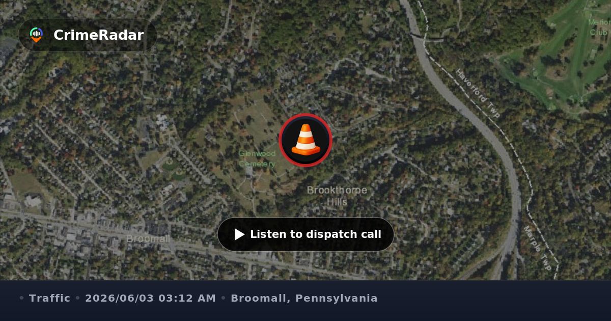 Cat struck on roadway near Starbucks, Broomall PA | CrimeRadar