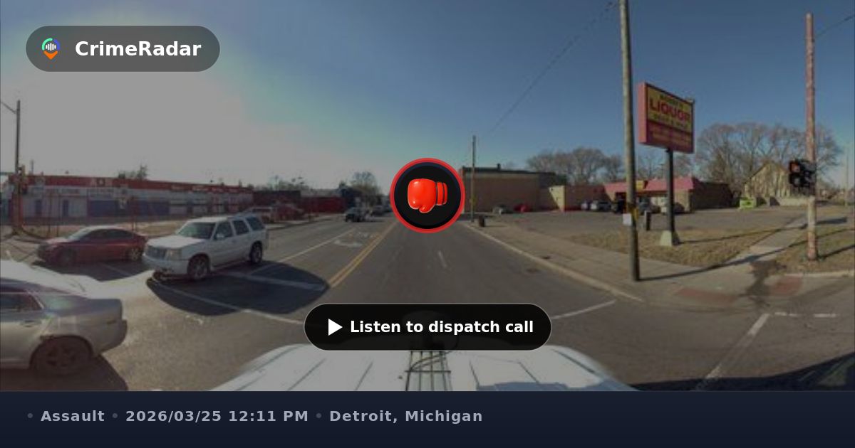 Two people fighting in parking lot on E 7 Mile, Detroit MI | CrimeRadar