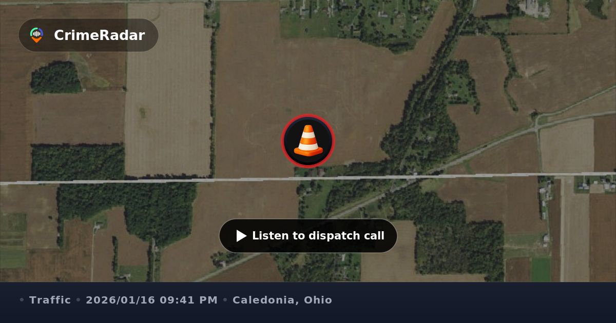 Deputies conduct traffic stop near Route 309, Caledonia OH | CrimeRadar