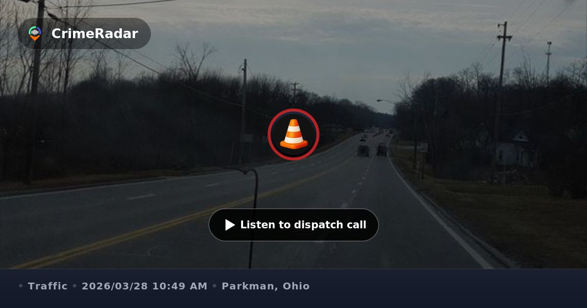 Traffic stop on vehicle near Church Street, Parkman OH | CrimeRadar
