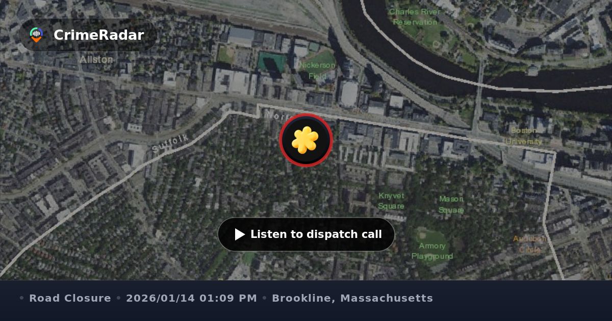 Large tree causes road closure on Browne St, Brookline MA | CrimeRadar