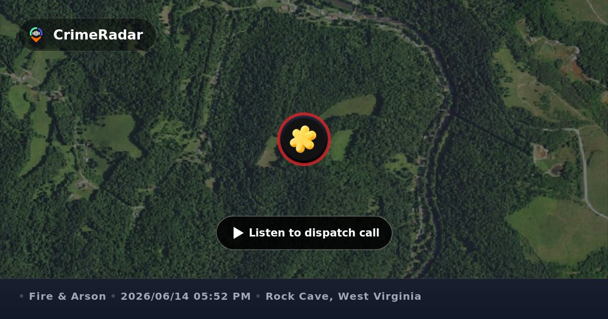Tree down causes gas leak on Big Run Road, Rock Cave WV | CrimeRadar