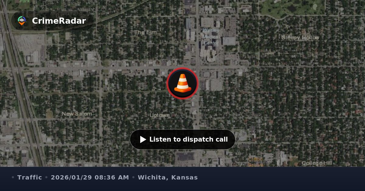 Dog running into traffic near Douglas and Chautauqua, Wichita KS ...