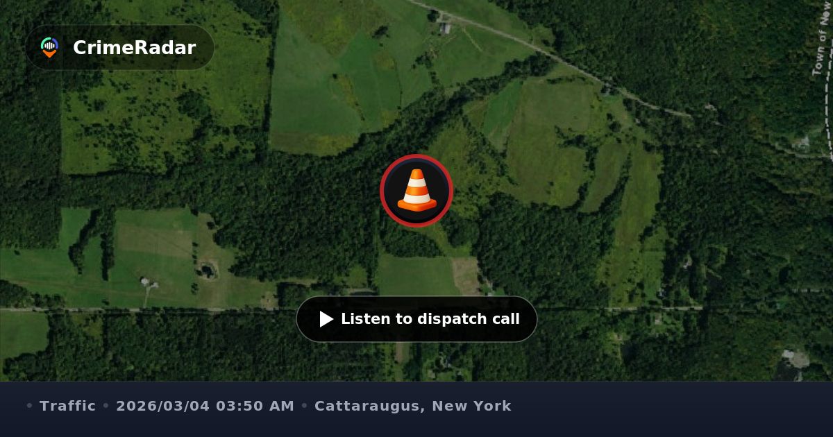 Car crash on Route 353 near Leon and Ritter roads, Cattaraugus County ...