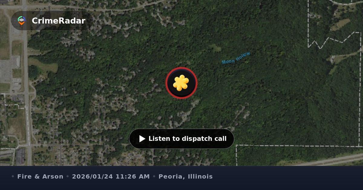 Carbon monoxide alarm near North Townsend Dr, Peoria IL | CrimeRadar