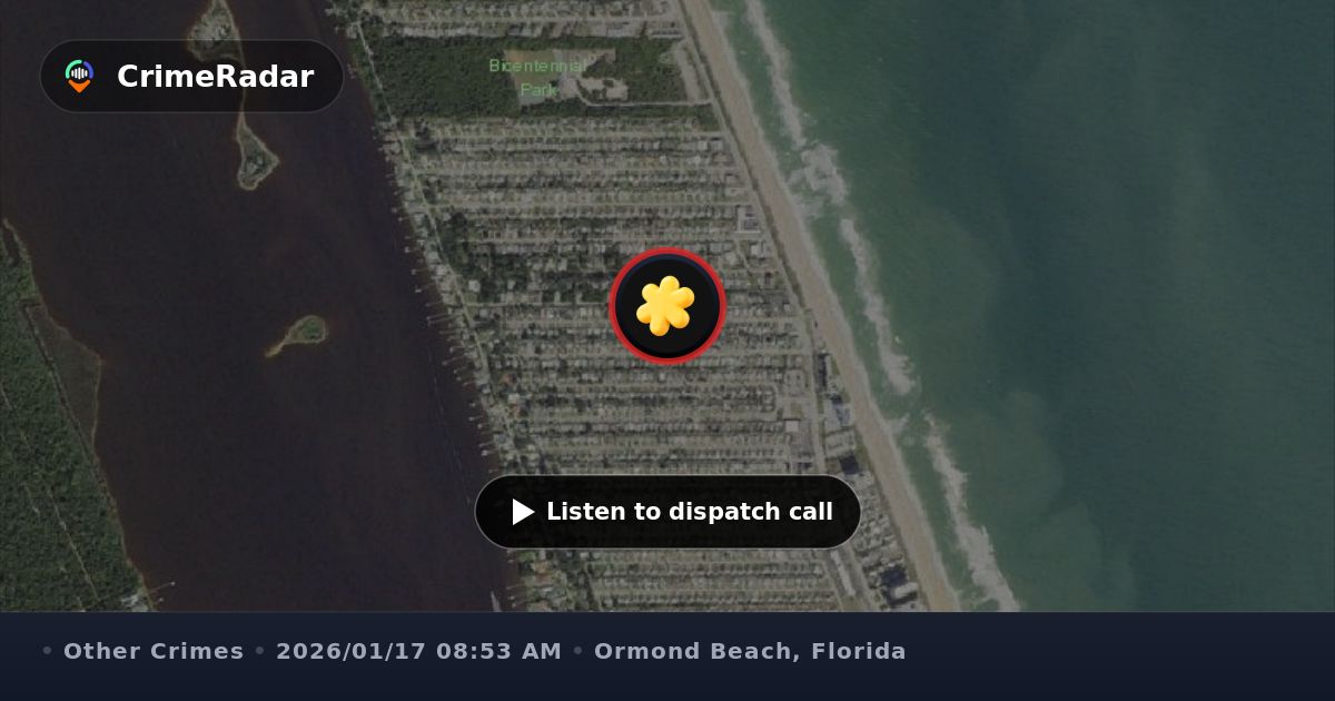 Deputies assist with DCF call near John Anderson Dr, Ormond Beach FL ...