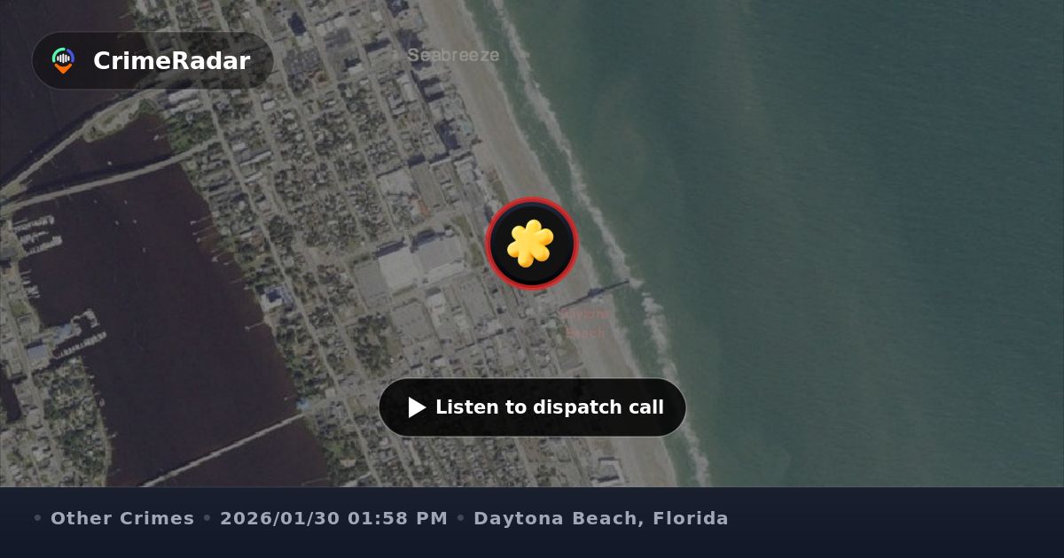 Officers respond to code enforcement issue on Main St, Daytona Beach FL ...