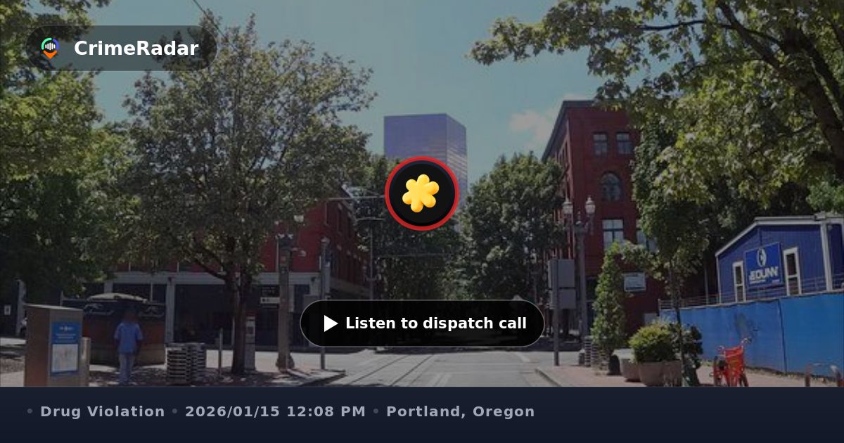 Medical responders treat possible overdose downtown, Portland OR ...