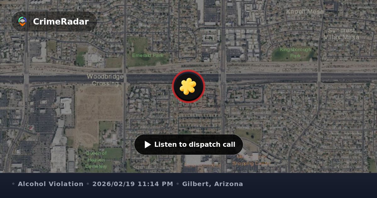 Intoxicated men leave bar in white Ford Fusion, Gilbert AZ | CrimeRadar