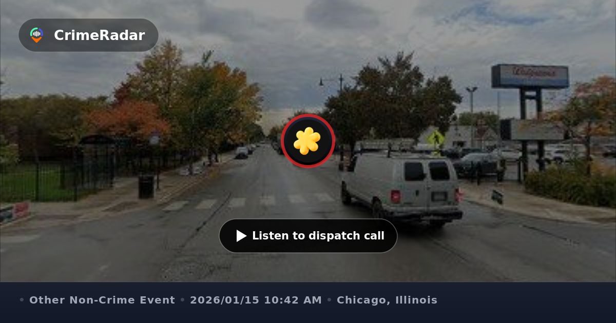 Injured dog causes traffic stop on I-94 near 35th St, Chicago IL ...