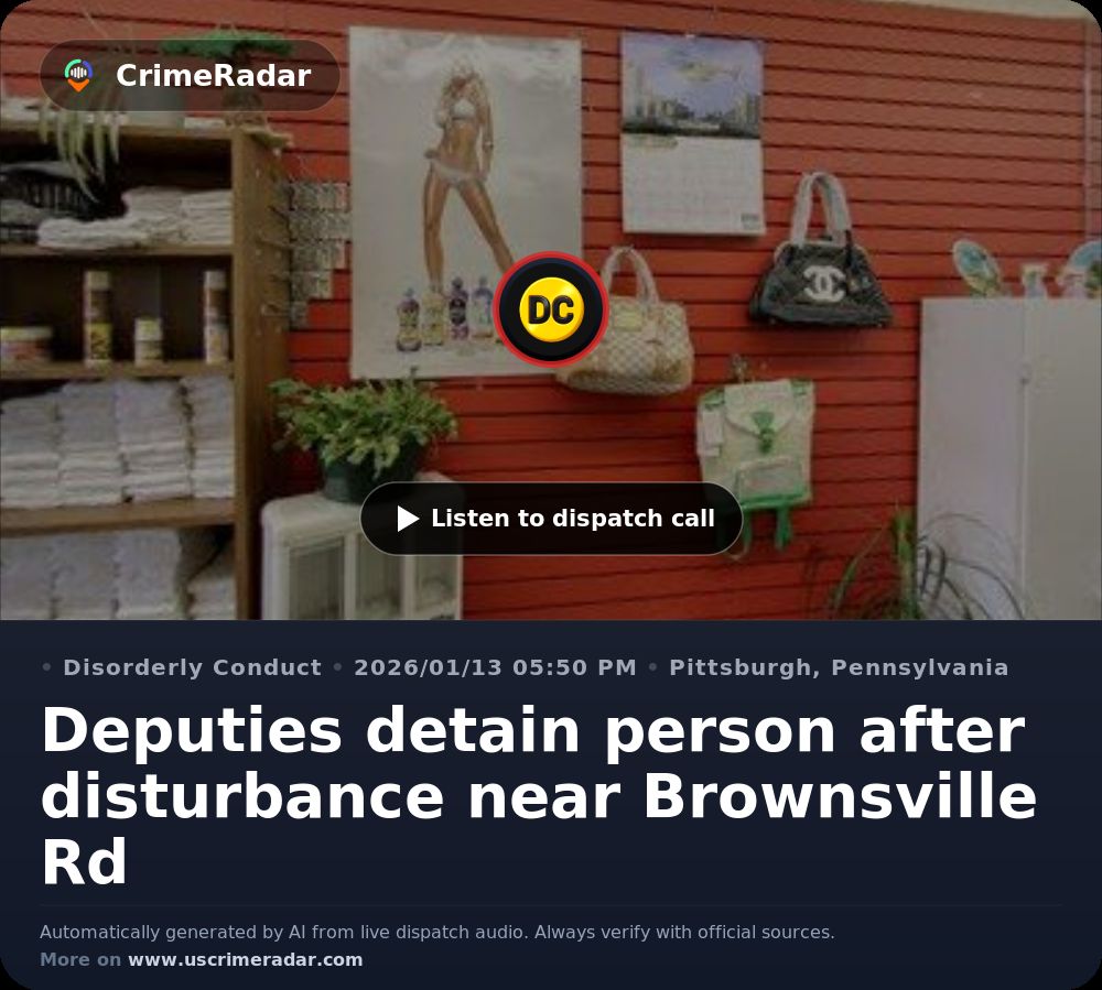 Deputies detain person after disturbance near Brownsville Rd ...