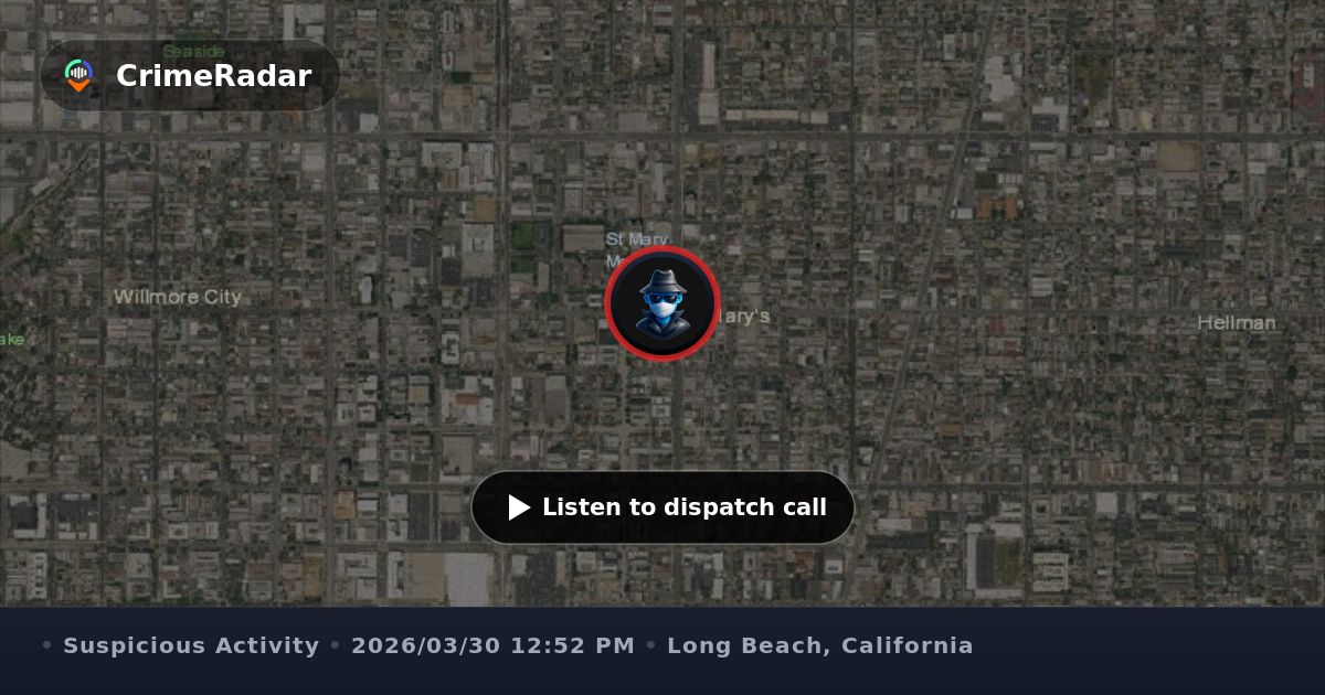 Suspicious gray van with two male occupants, Long Beach CA | CrimeRadar
