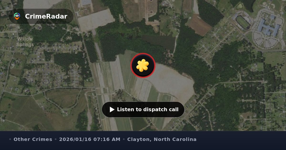 Officers check vehicle registration near Breland Dr, Clayton NC ...