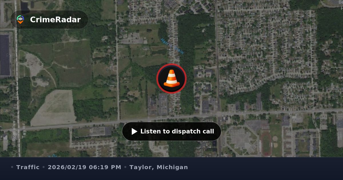 Traffic stop on Beech Daly south of Goddard, Taylor MI | CrimeRadar