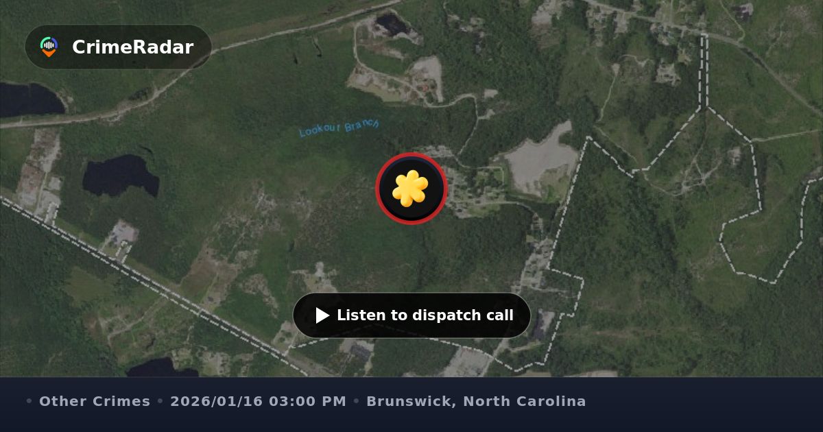 Police respond to dog-related call on Ruby Way, Brunswick County NC ...