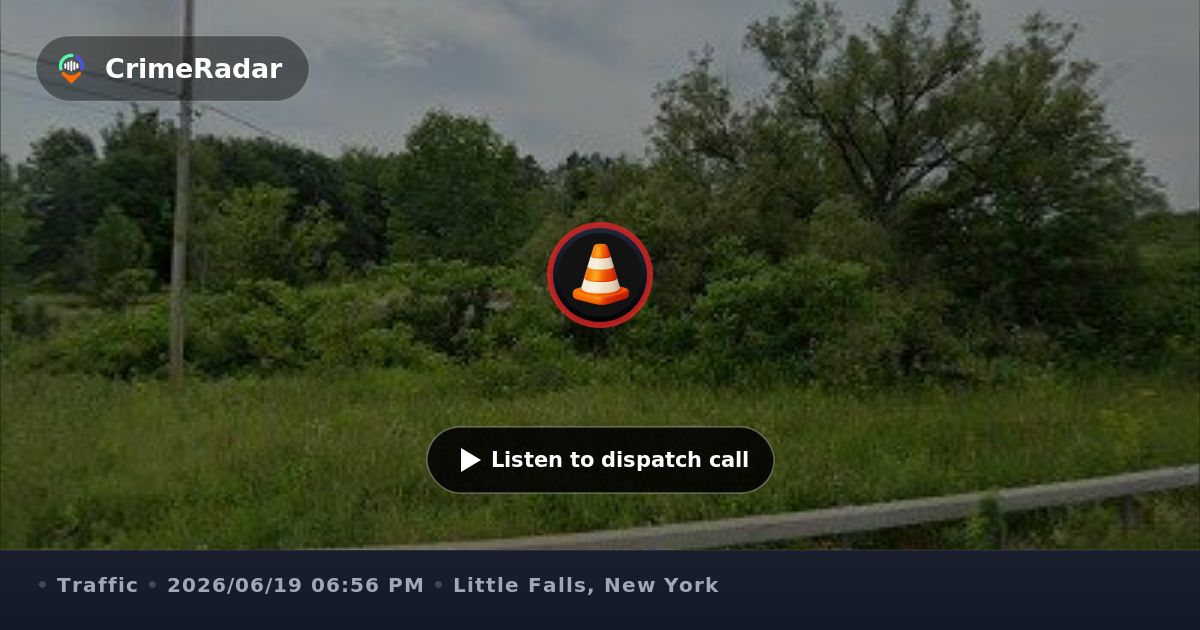Car hits bear on State Route 167, no injuries, Little Falls NY | CrimeRadar