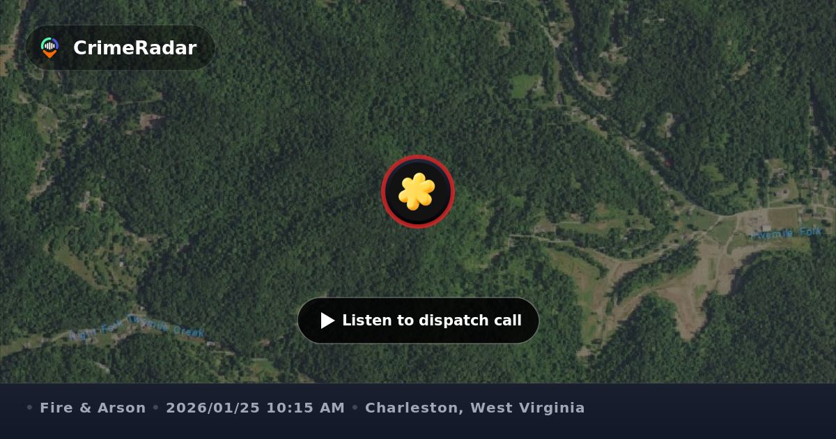 Tree causes power line fire near Ravenall Ln, Charleston WV | CrimeRadar