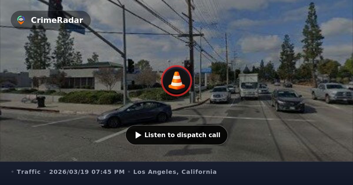Traffic stop on white Tesla with no license plates, Los Angeles CA ...